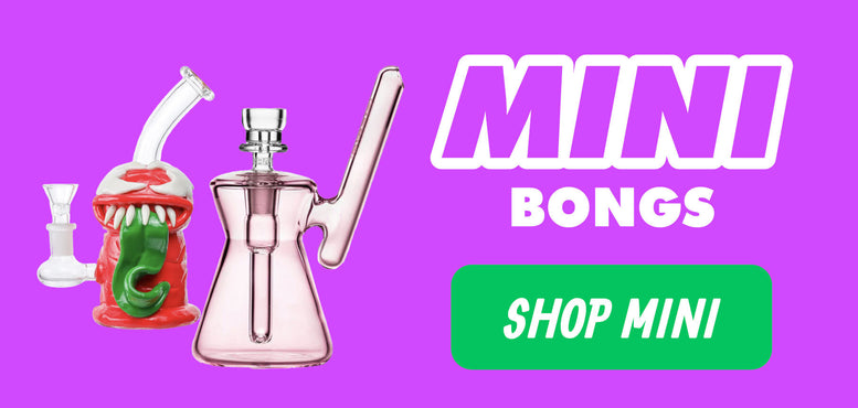 Bongs for Sale | Shop 300+ Unique Designs | Everything 420