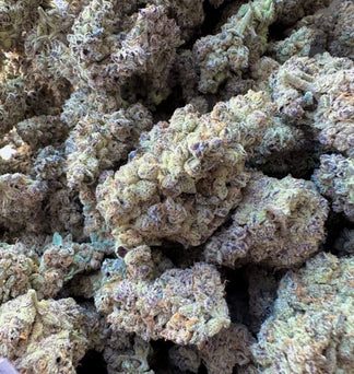 Bloomz Hemp THCa Flower 3.5g | High Potency Indoor Flower - Everything 420