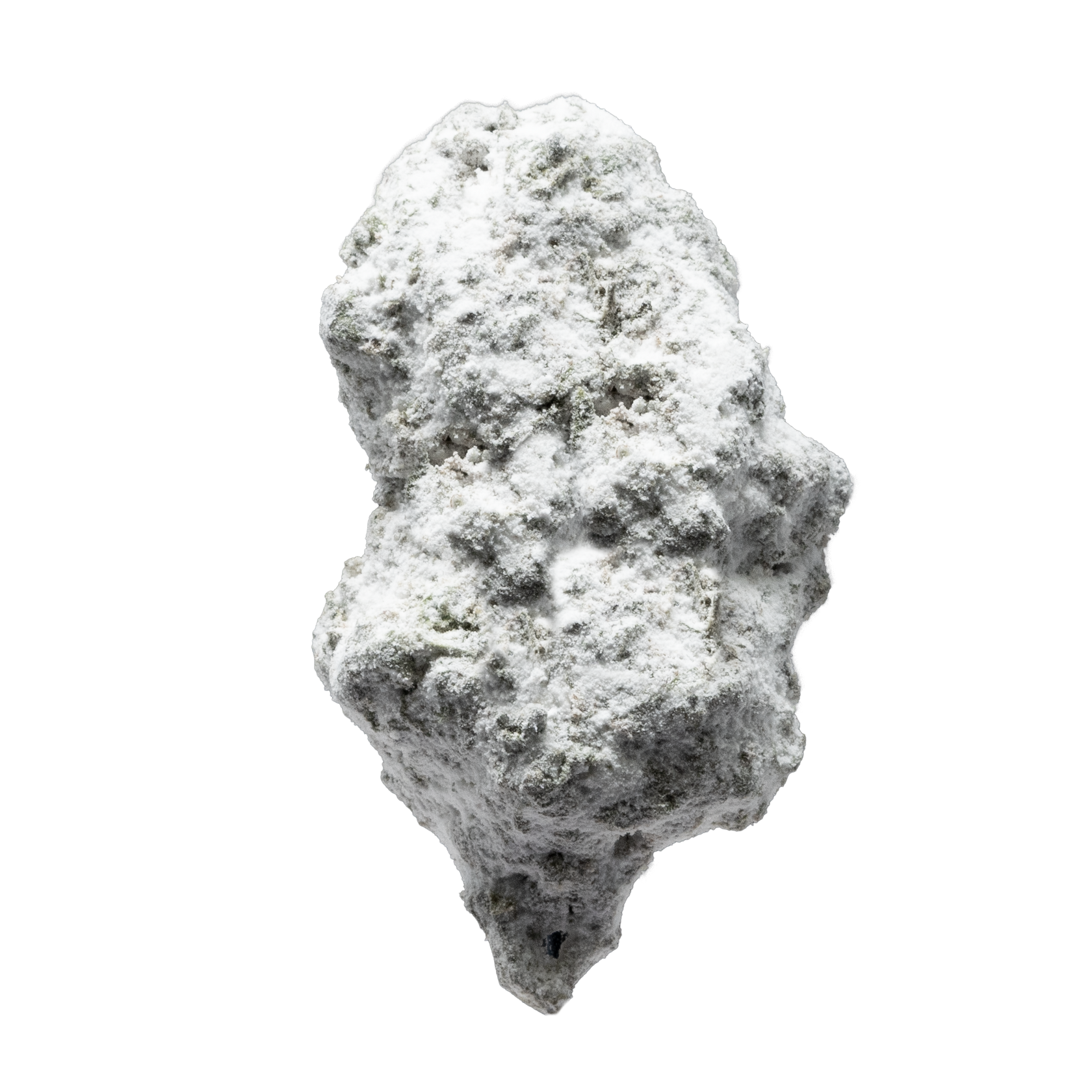 Gold Spectrum Secret Cookies Snowballs THC-A Flower - Everything 420