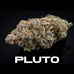 Puro Exotic Line THC-A Flower - 3.5g - Everything 420