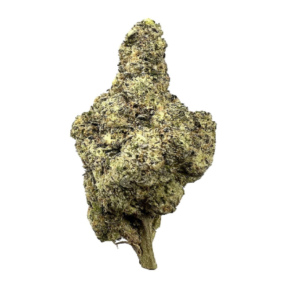 Buy Potent THCA Flower Online | Legit Buds for Sale