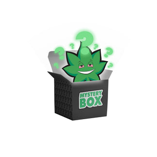 E420 Mystery Box - Everything 420